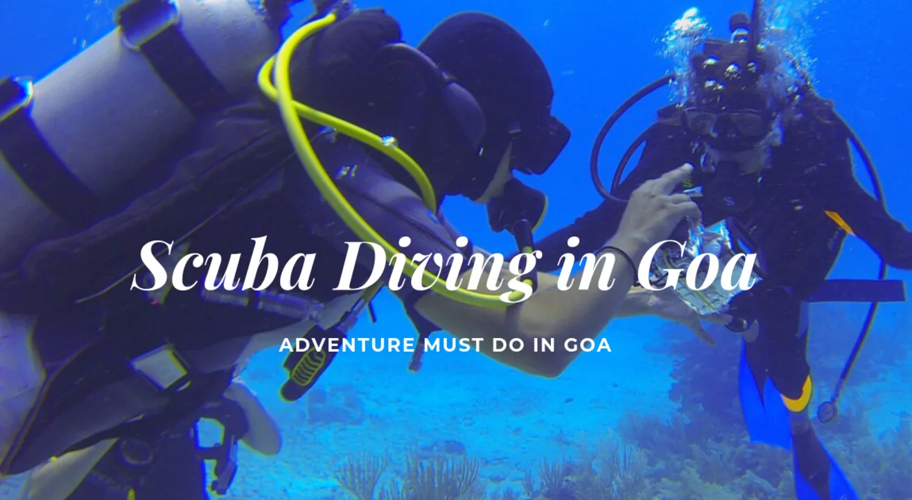 Scuba Diving in Goa: An Unforgettable Underwater Adventure - JourneyStorm